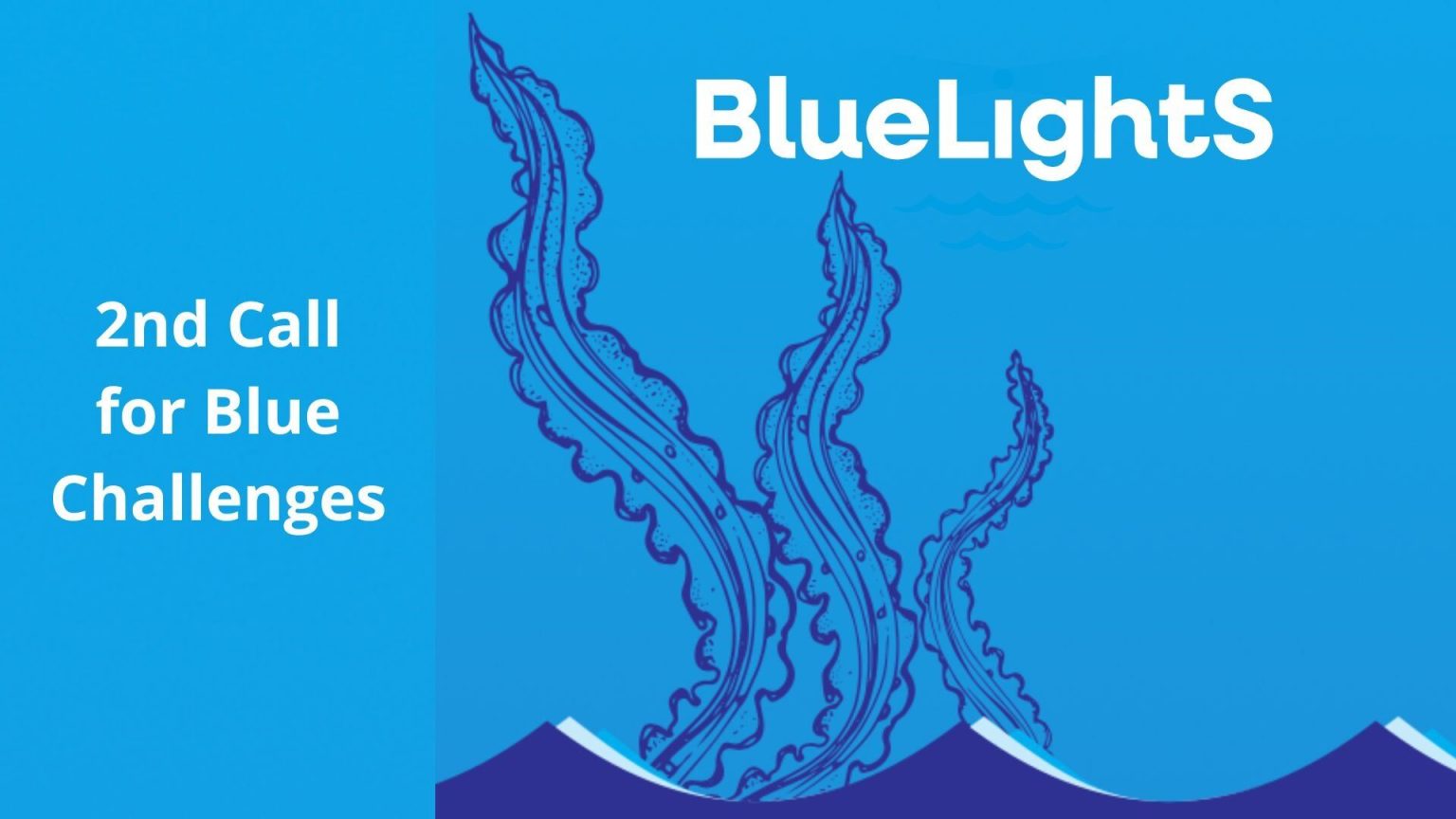 BlueLightS 2nd Call for Blue Challenges / Blue Schools - OceanCitizen