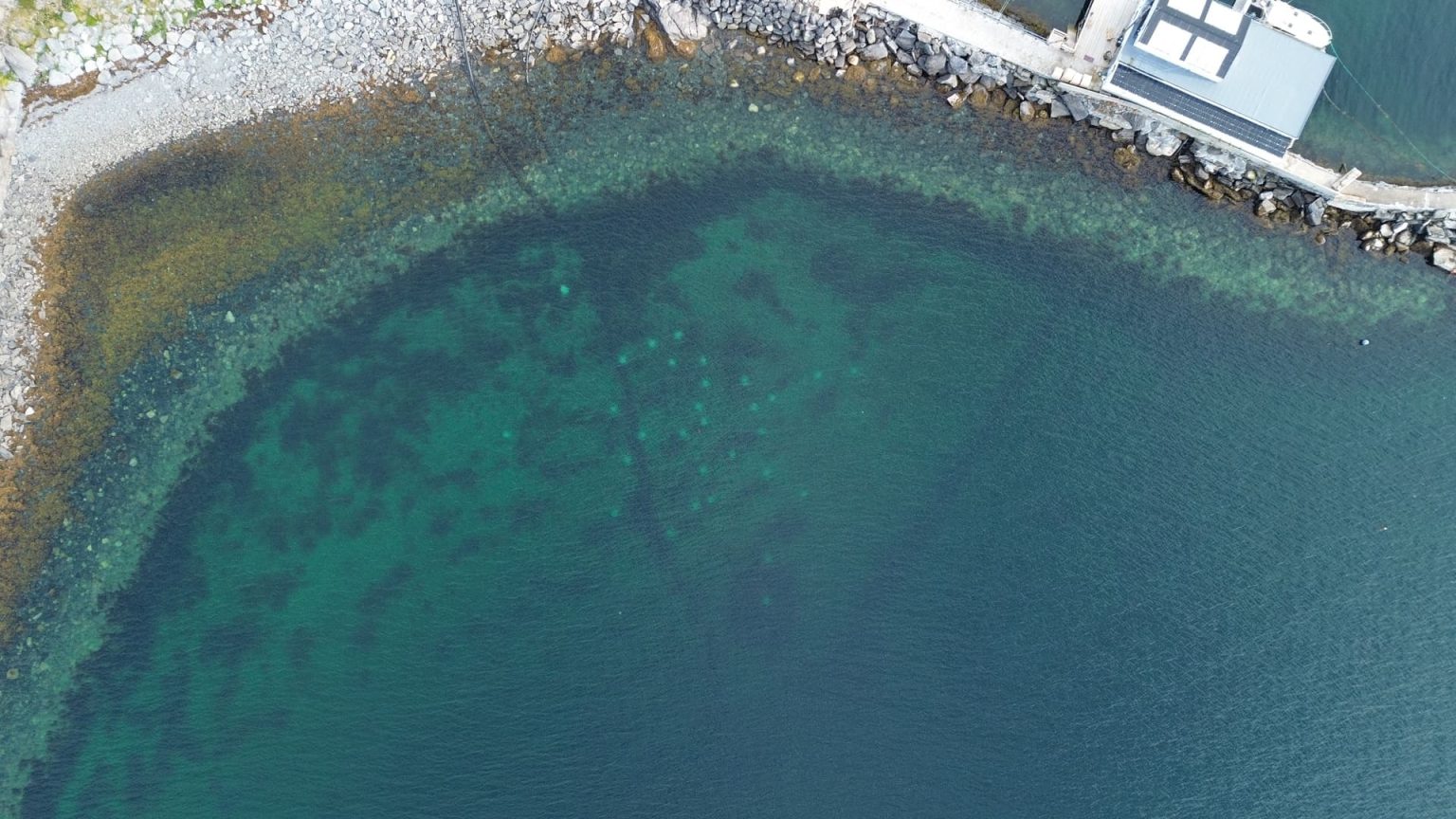 Rebuilding the Arctic seafloor: Elnida-rif® reefs in the Porsangerfjord ...