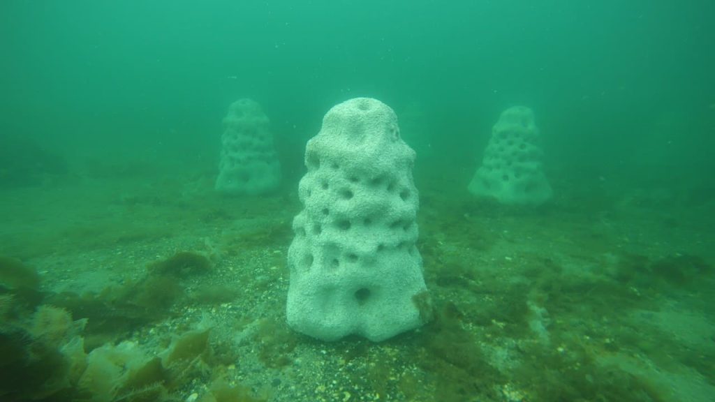 Rebuilding the Arctic seafloor: Elnida-rif® reefs in the Porsangerfjord ...